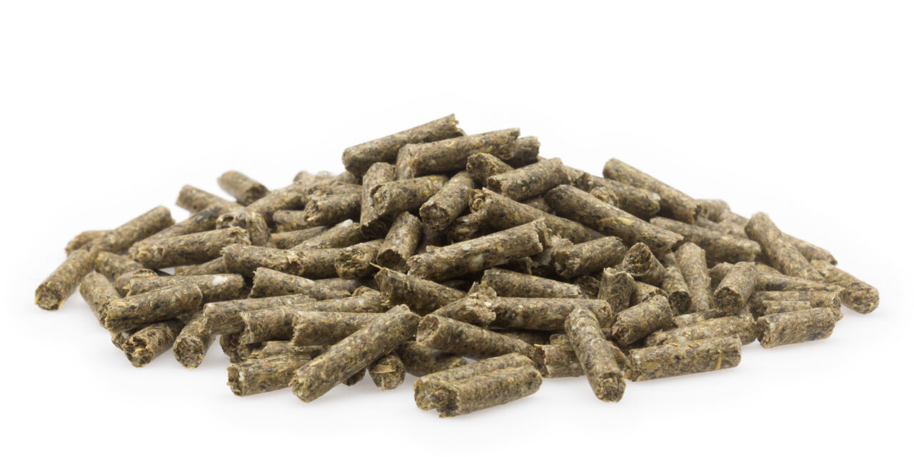 Hasenfutter | Geflügel und Futtermittel Zagler